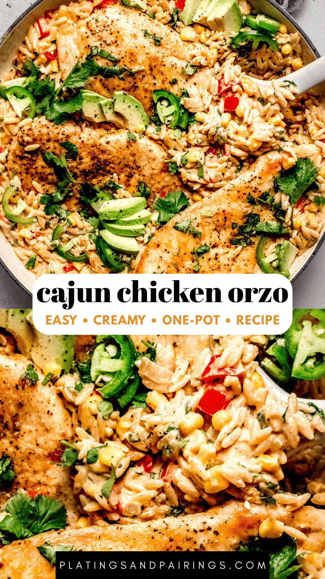 Creamy Cajun Chicken Orzo - Platings + Pairings