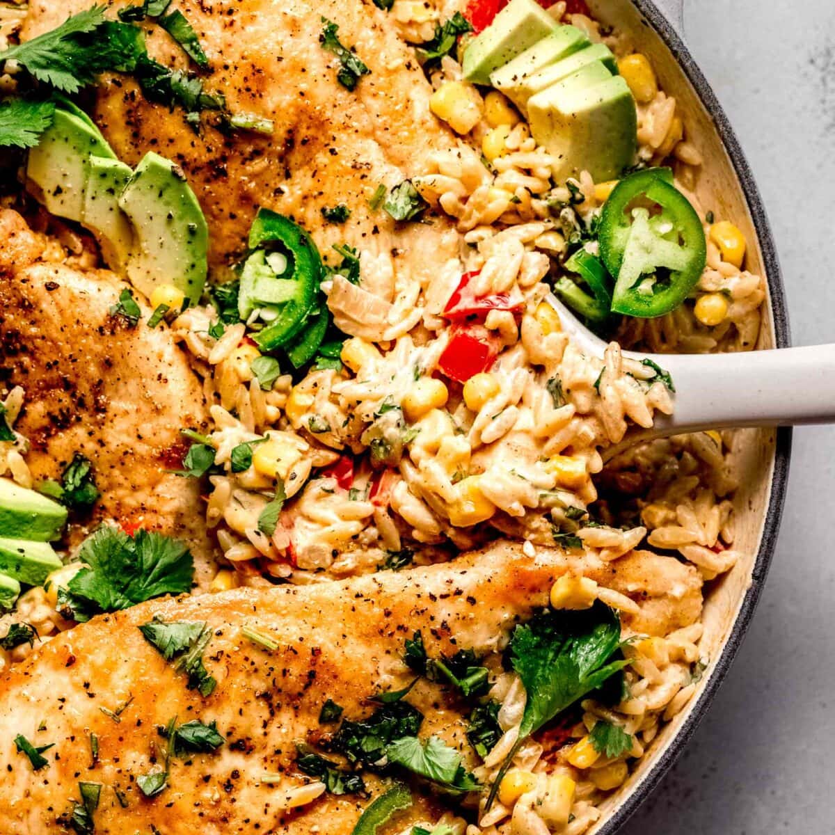 Creamy Cajun Chicken Orzo (One-Skillet Recipe) - Platings + Pairings