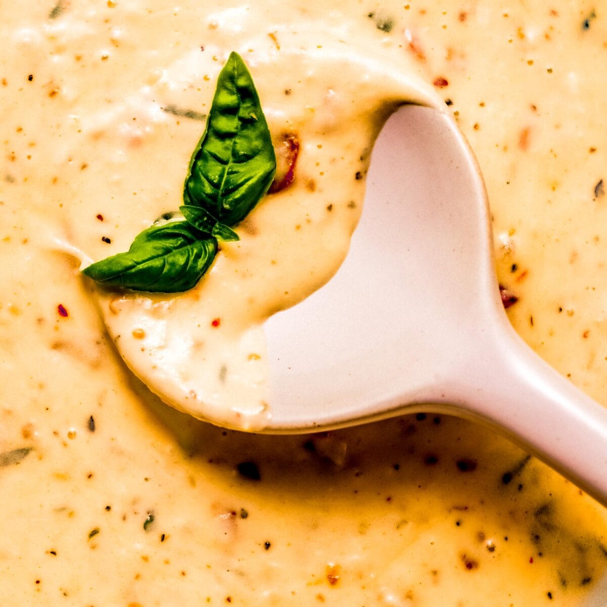 Sun Dried Tomato Cream Sauce Recipe