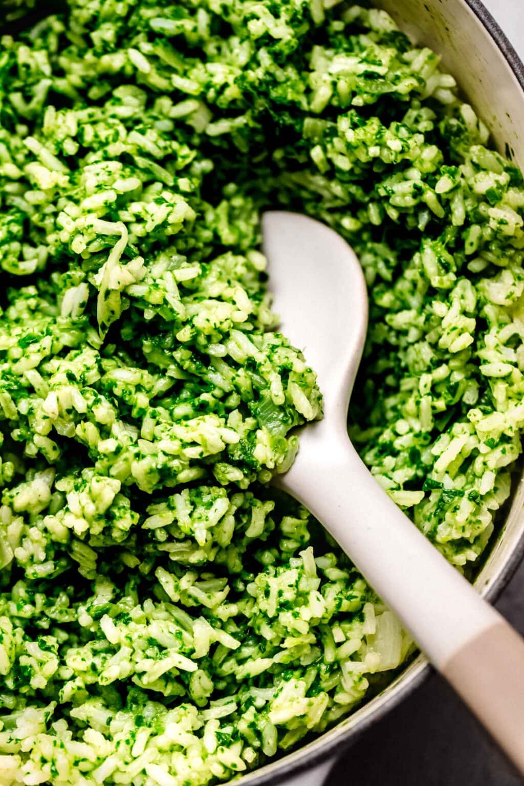 Easy Spinach Rice Recipe - Platings + Pairings