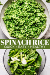 Spinach Rice (Simple Side Dish Recipe) - Platings + Pairings