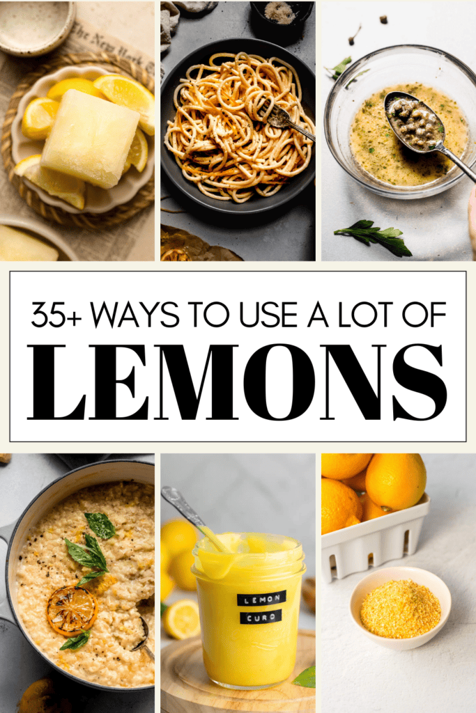 35+ Recipes That Use a Lot of Lemons - Platings + Pairings