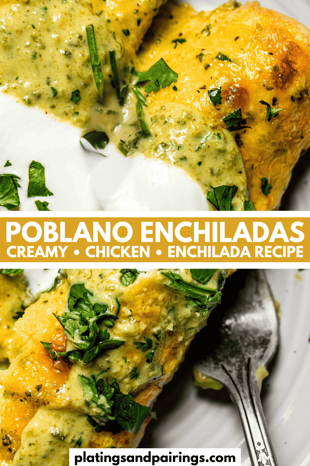 Creamy Poblano Chicken Enchiladas Recipe