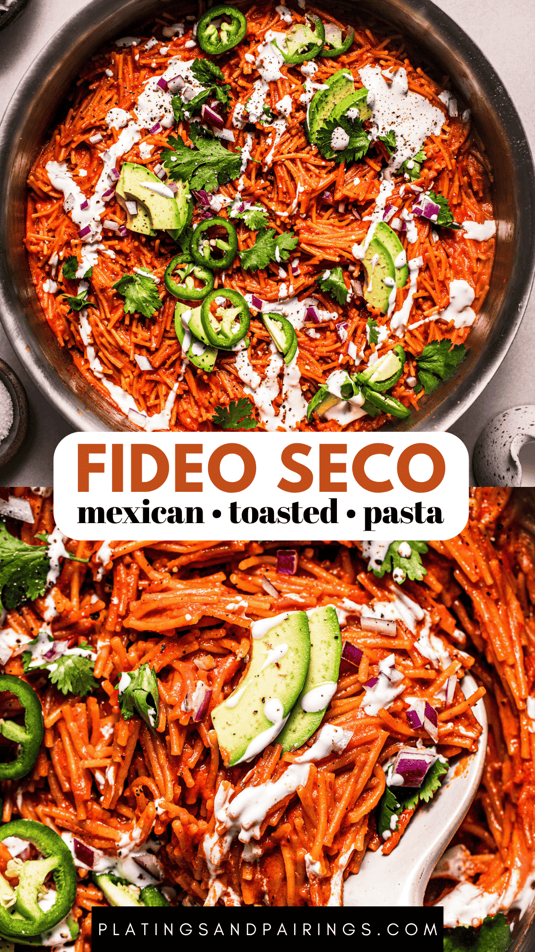 Fideo Seco (Mexican Toasted Pasta Recipe)