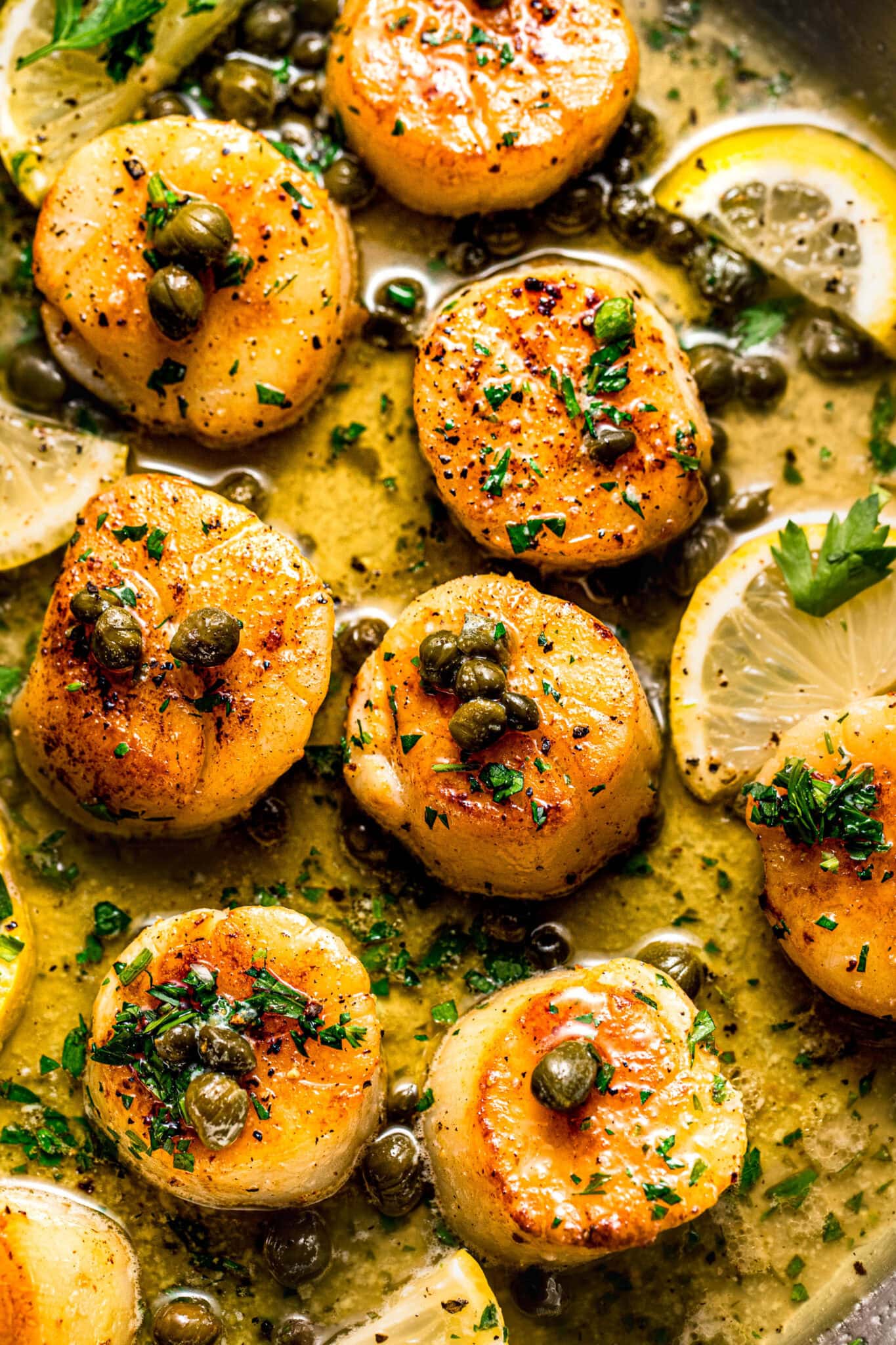Scallop Piccata (Pan-Seared Scallops with Lemon Caper Sauce)