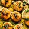 Scallop Piccata (Pan-Seared Scallops with Lemon Caper Sauce)