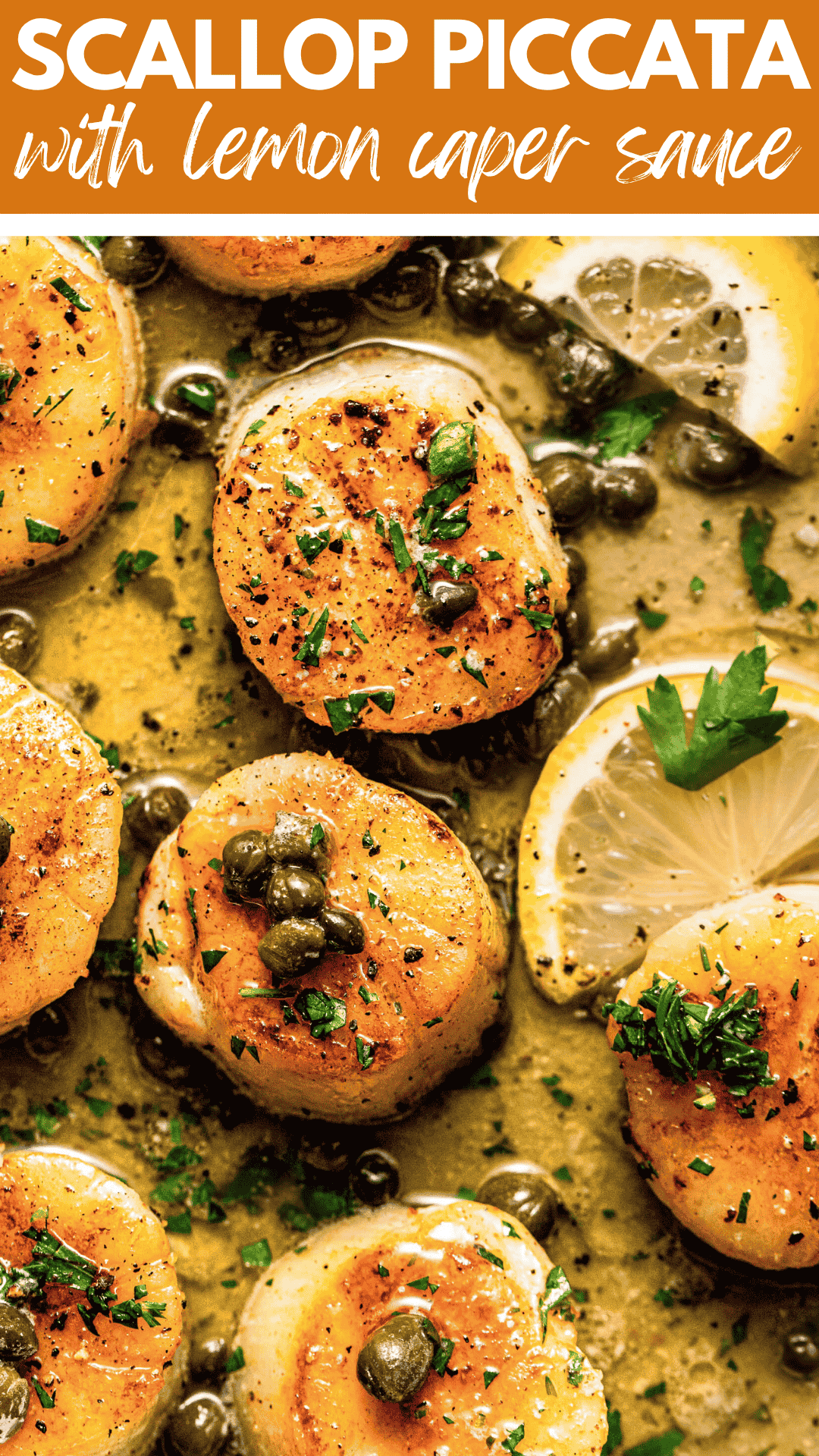 Scallop Piccata (Pan-Seared Scallops with Lemon Caper Sauce)